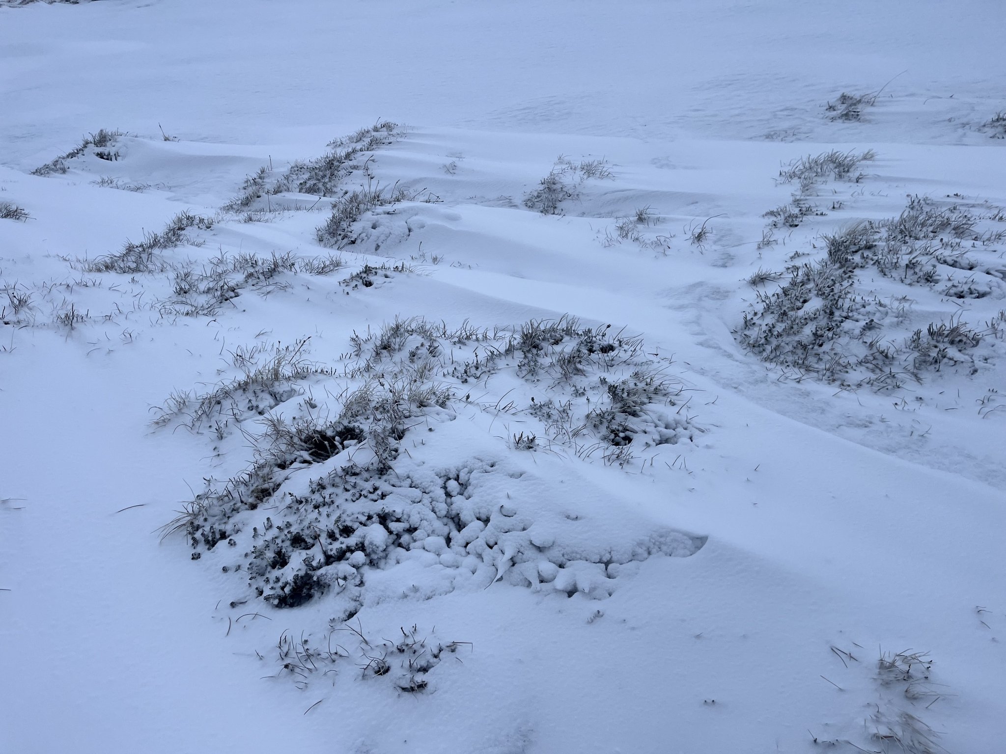 Torridon Blog & Mountain Info » Snow